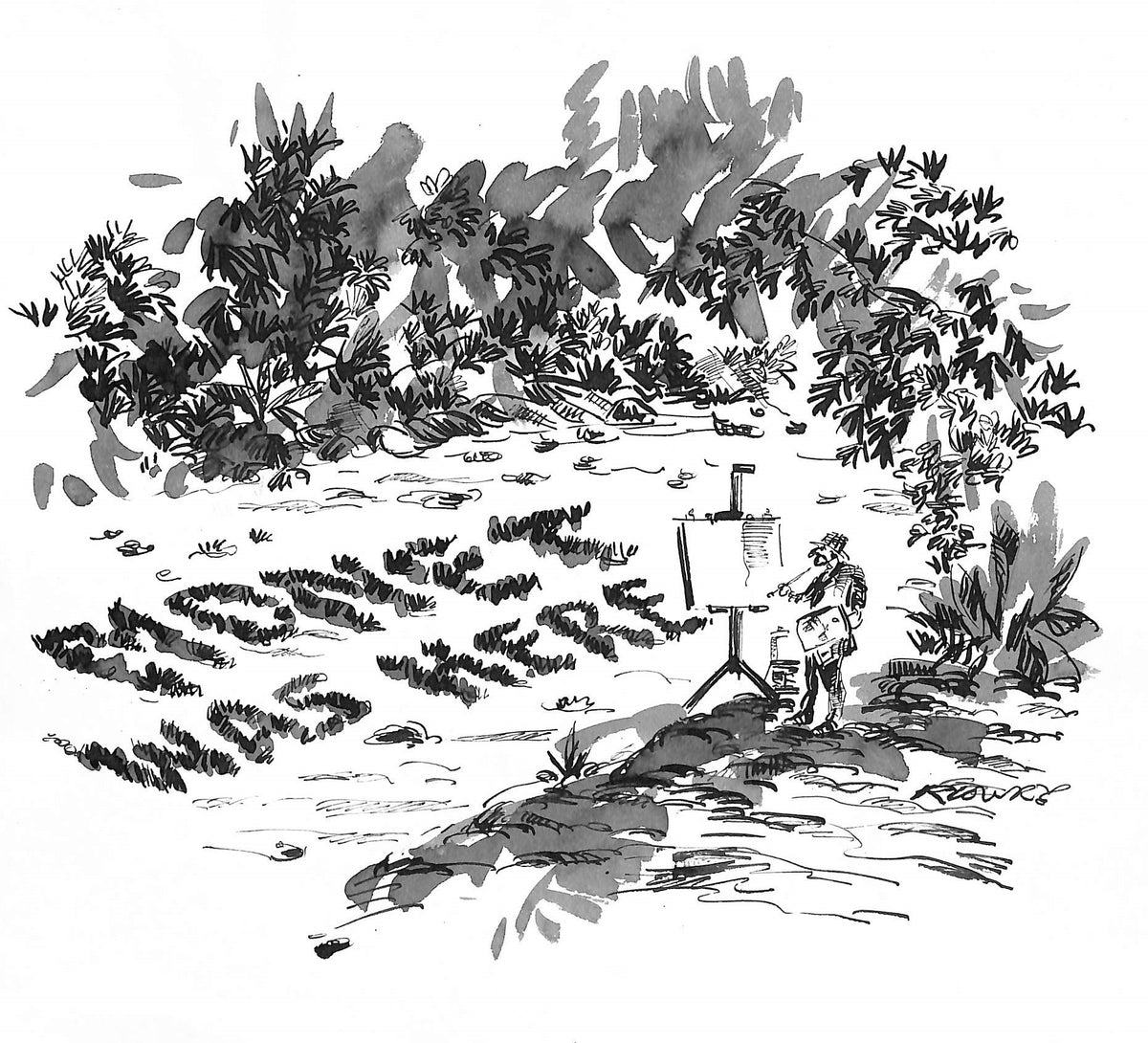 " MONET WAS HERE " – The Hand of Ray Lowry